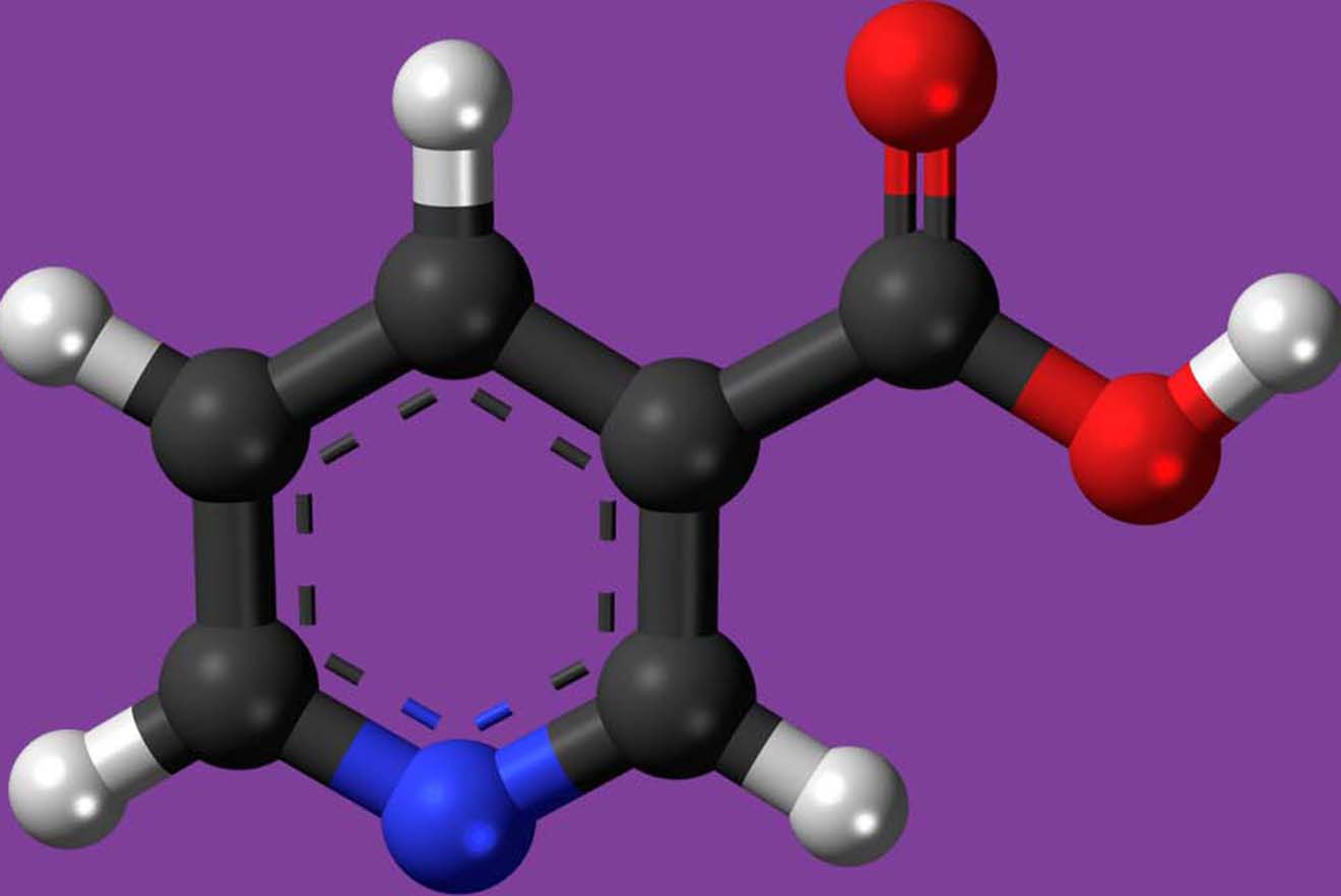Vitamin B3 Structure Liquid Niacin Drops Support Healthy Cholesterol