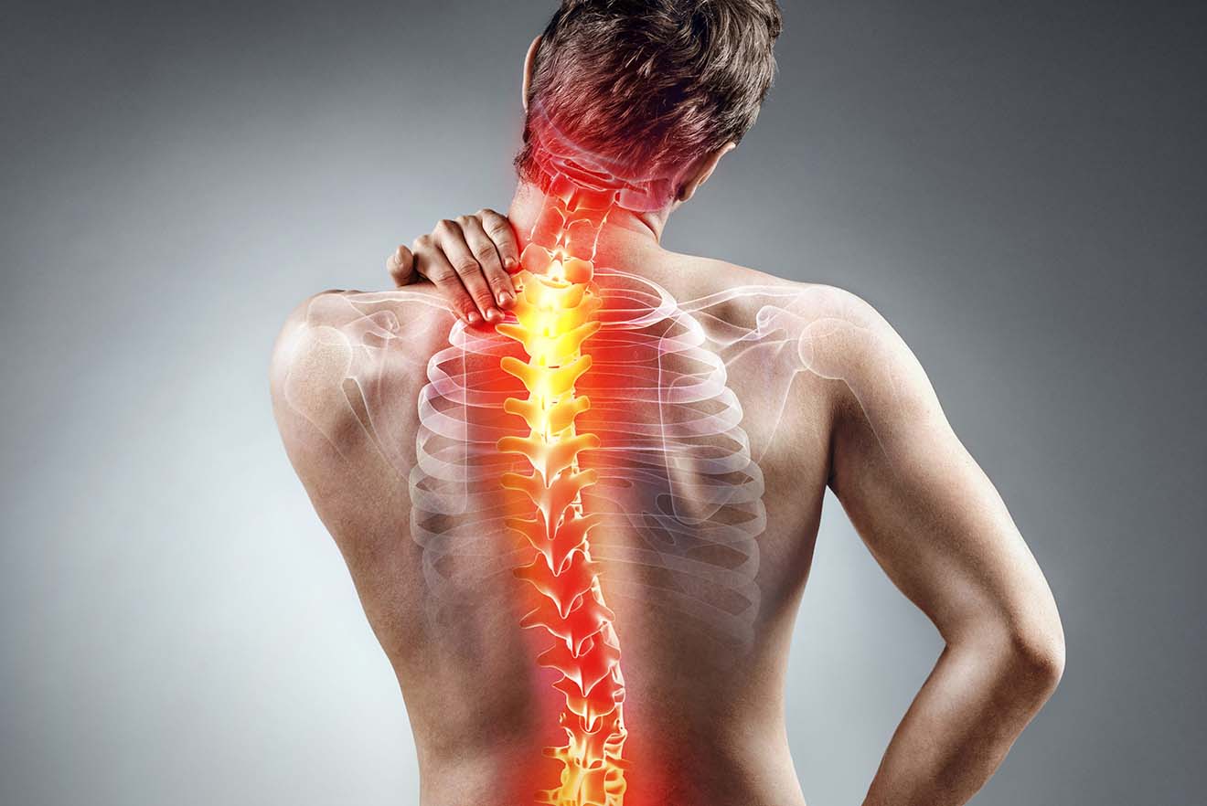 Back Pain | Causes, Symptoms, Diagnosis and Treatment - Pure Medical