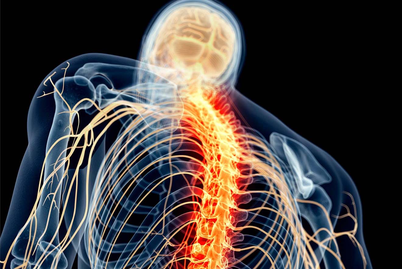 Nerve Pain & Nerve Damage - Pure Medical