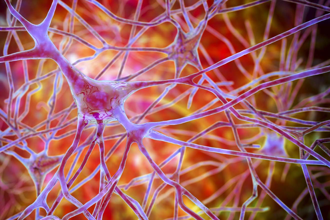 ADHD (Attention Deficit Hyperactivity Disorder) | Everything you need ...